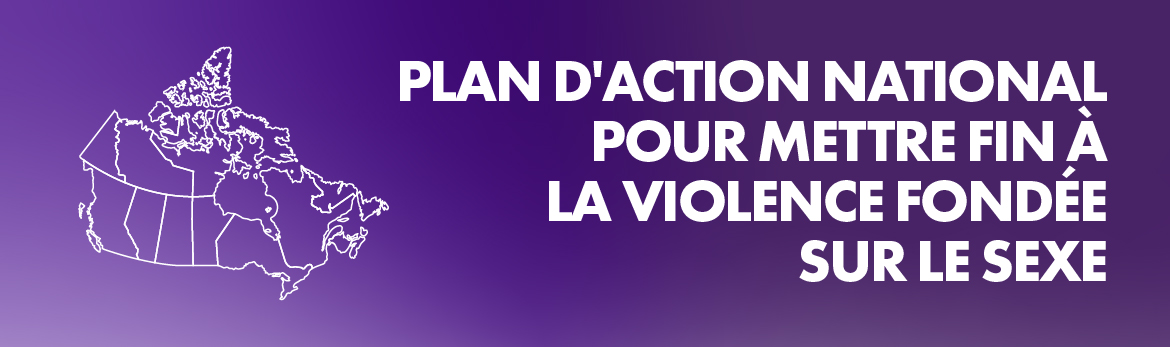 Détails Du Plan Daction National Pour Mettre Fin à La Violence Fondée